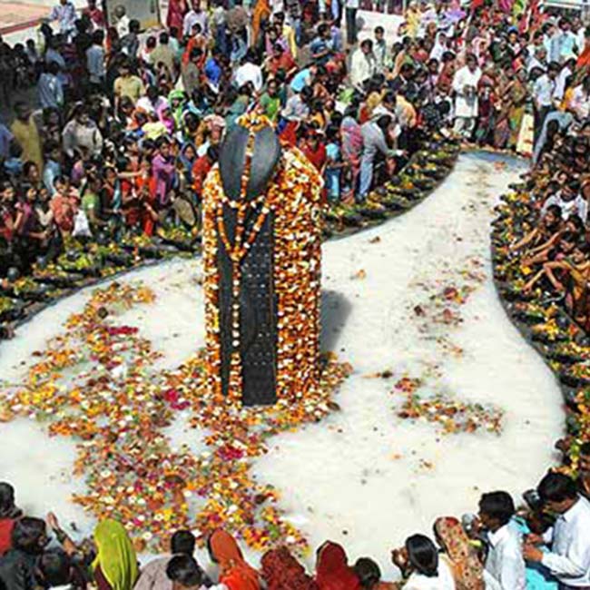 Maha Shivratri celebrated with great festivity