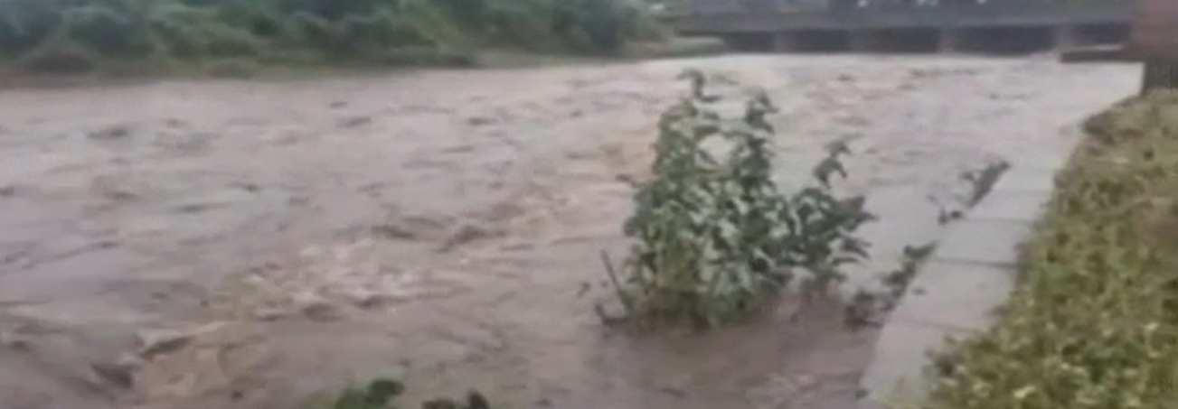 234 talukas in Gujarat rain heavily - Gujarat's Leading News Channel