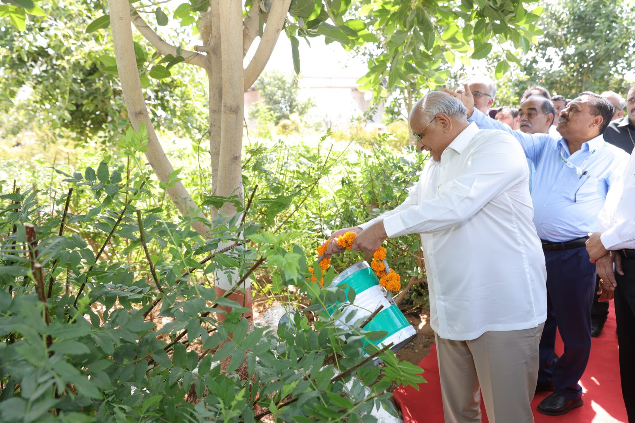 Three Million Trees campaign launched by Bhupendra Patel on World ...
