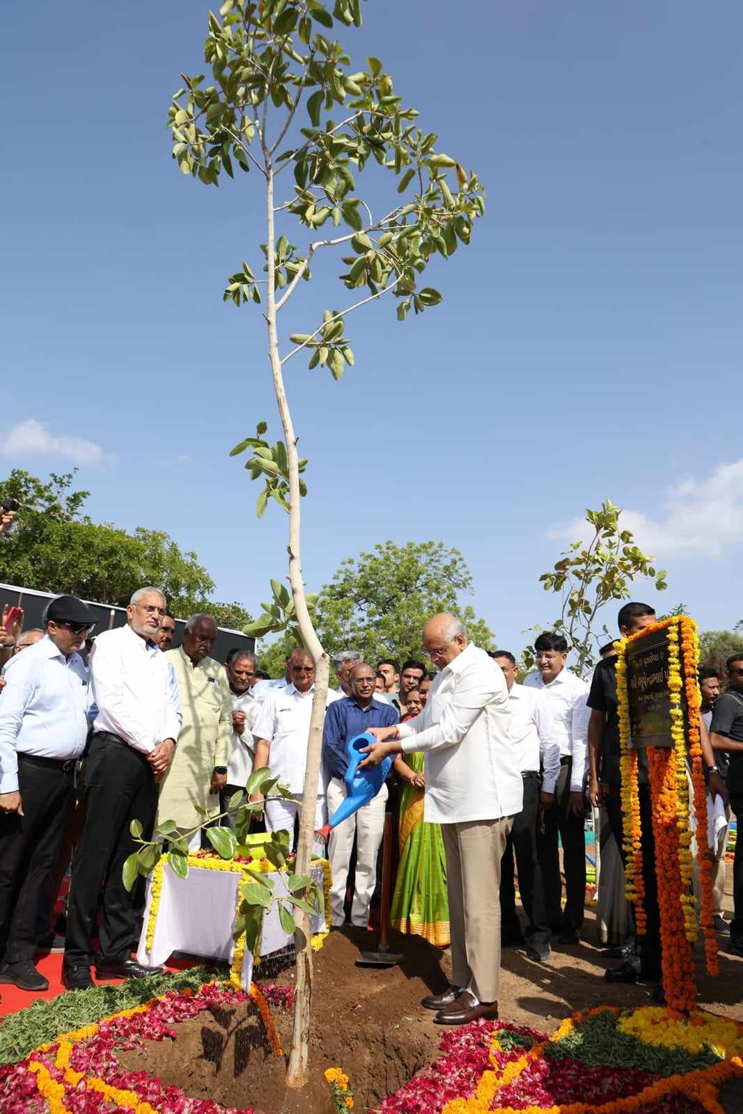 Three Million Trees campaign launched by Bhupendra Patel on World ...