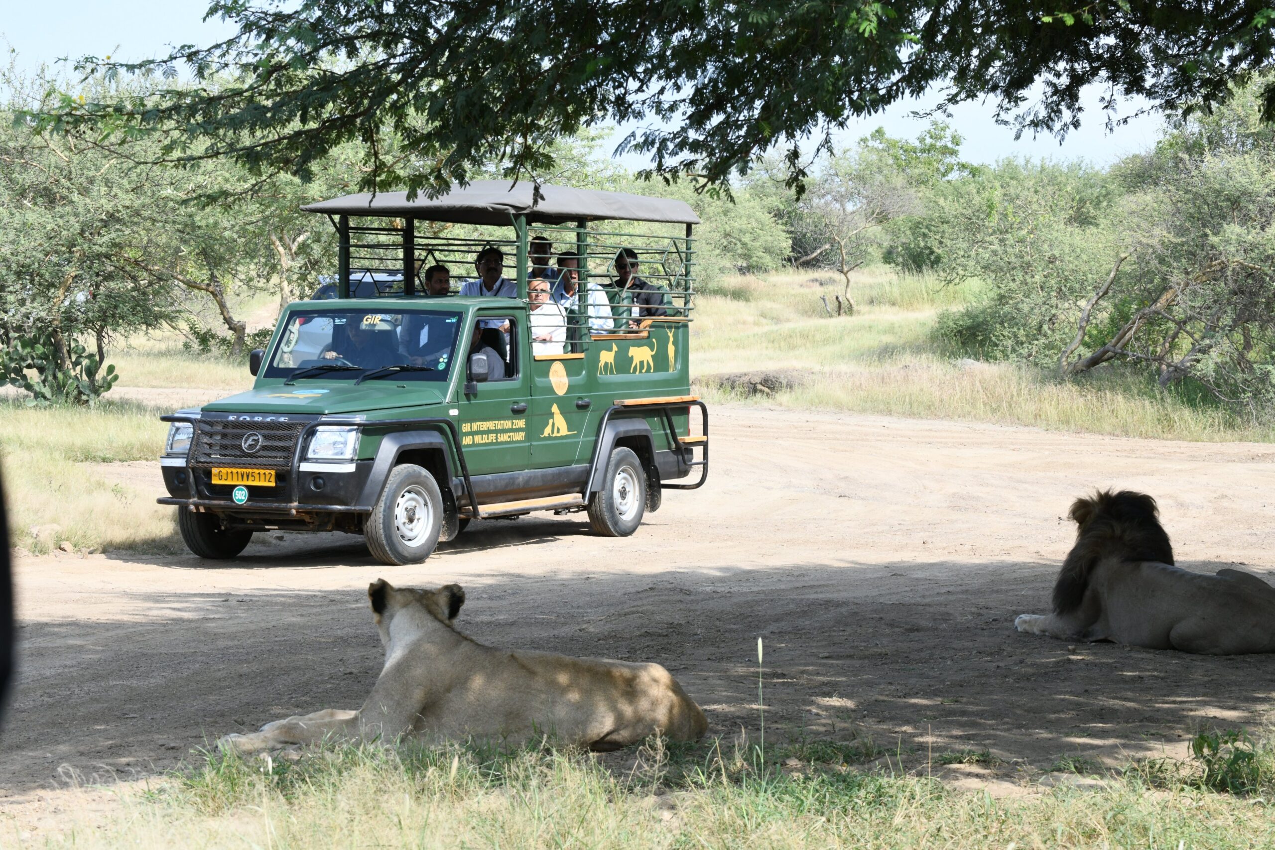 Gujarat CM Bhupendra Patel visited Ambardi Safari Park in Amreli ...